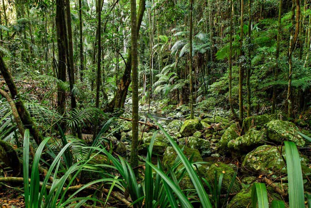 Backpacking in Australien: Die 15 coolsten Tipps | Planetbackpack