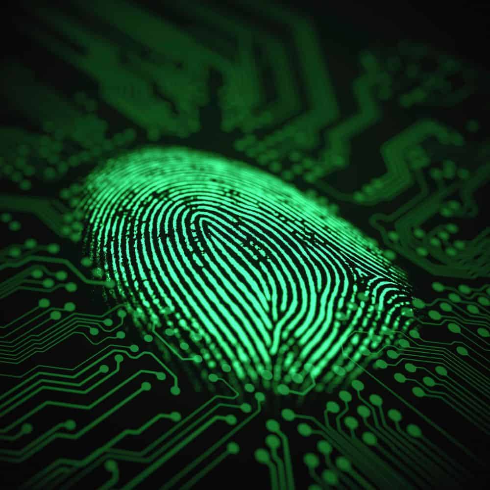 Amazon Prime Video in den USA streamen 2023: Finde alle Filme