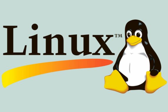 Linux Proxy Server konfigurieren: Alles zur Einrichtung